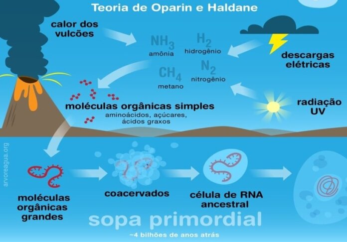 Astrobiologia: Busca das Origens e Outras Formas de Vida