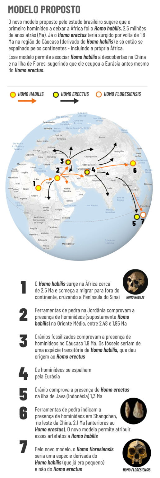 Homo Habilis: Primeiro Hominídeo a Sair da Africa?